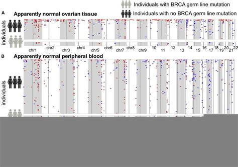 Genomic Landscape Of The Somatic Genomic Alterations In The Normal
