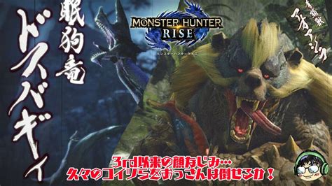 【mhr】ひさびさにモンハンドスバギィとアオアシラを倒す！【2】【実況】 ニコニコ動画