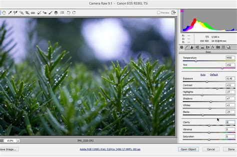 A Complete Beginners Guide To Raw Files And Raw Processing Fotofora
