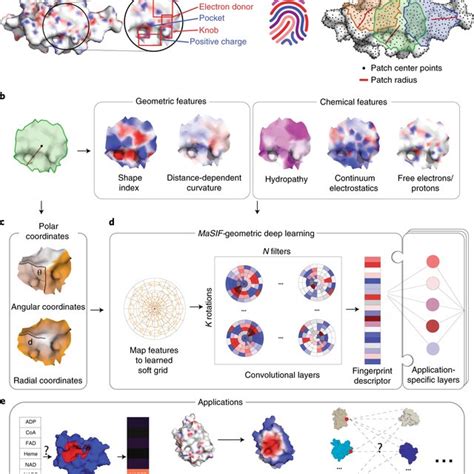Deciphering Interaction Fingerprints From Protein Molecular Surfaces