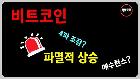 비트코인 파멸적 상승은 아직 이르다 2024 02 14 Youtube