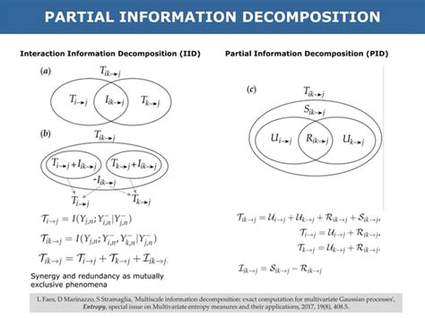 Multiscale Granger Causality And Information Decomposition Ppt