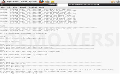 Erman Arslans Oracle Blog Rdbms 11gr2 And Windows Single Node To Linux Rac2 Nodes Migration