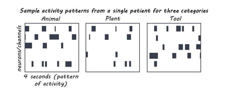 brainpost on linkedin a neural prosthetic to improve memory