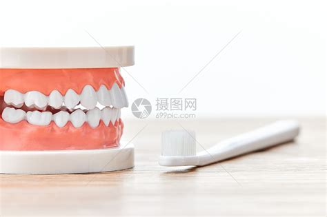 牙齿牙龈口腔护理概念高清图片下载 正版图片504647779 摄图网
