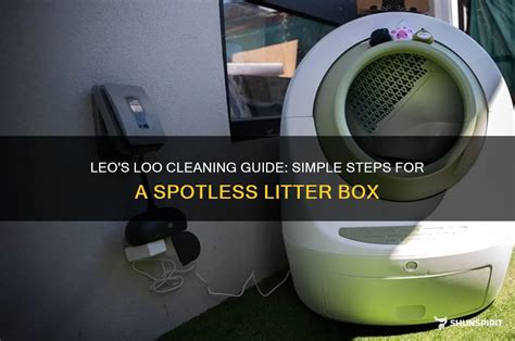 Leos Loo Cleaning Guide Simple Steps For A Spotless Litter Box