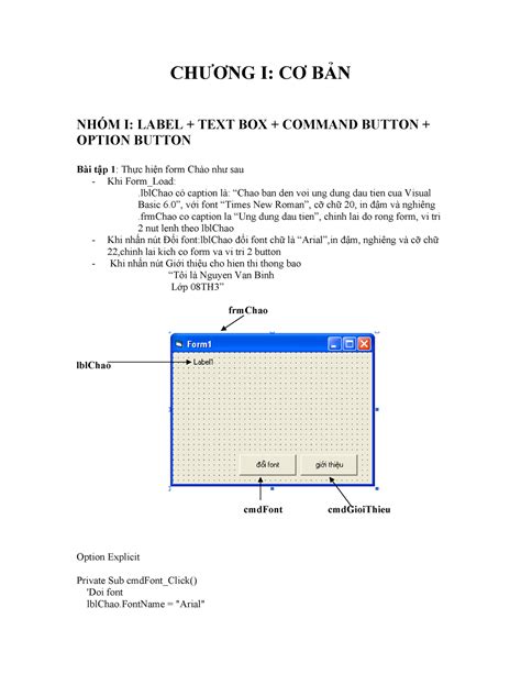 Input Controls Text Box Check Option ChƯƠng I CƠ BẢn NhÓm I Label