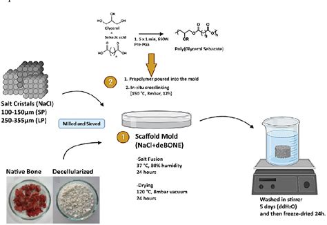 Figure 1 From Biofabrication Of Polyglycerol Sebacate Scaffolds