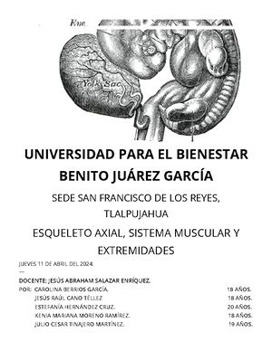 Segmentación y primeros estadios del desarrollo Segmentación y primeros estadios del