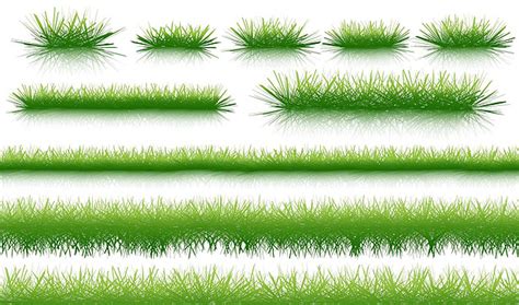 Green Natural Organic Grass Background And Texture Organic Ecology