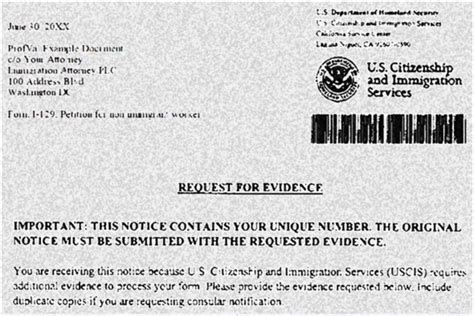 H1B RFE Responses Strategy CPT Relative