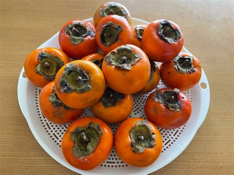熟しすぎた柿の食べ方 冷凍シャーベット 素直な気持ち