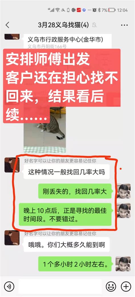 铲屎官胆子太大了狸花猫也敢散养 找猫公司 找猫团队 找猫机构 知乎