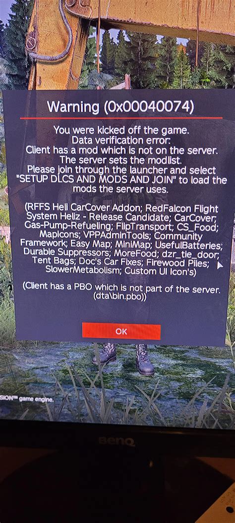 mods not loading correctly please help i have no idea everything is
