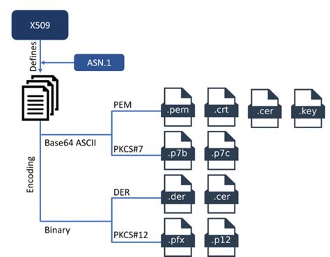 Setup Virtualhost With Ssl On Wamp Server Techdirectarchive