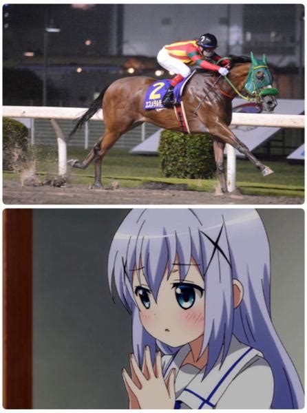 Bokete