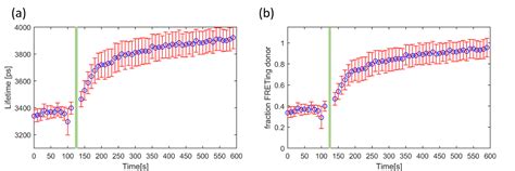 open source high content analysis utilizing automated fluorescence