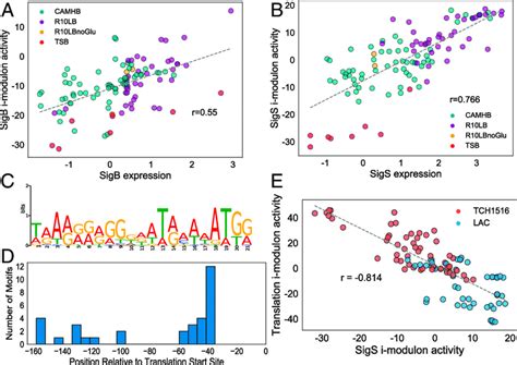 Profiling Alternate Sigma Factor S The Expression Levels Of Sigb A