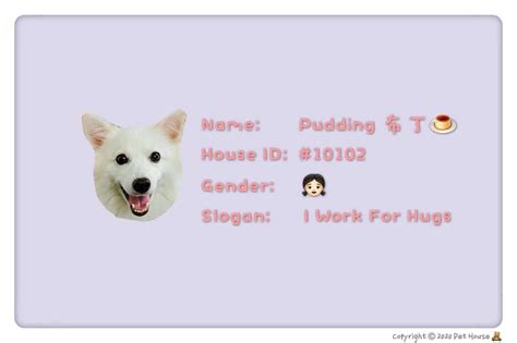 Add Pets Page Issue Ritterim Rimdev Blog Github