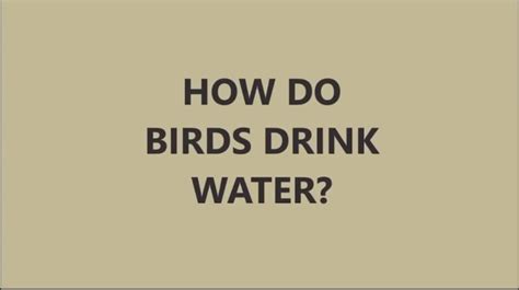 Video Harsh Saini On Linkedin Rancid Mouthबासी मुँहdrinking Water