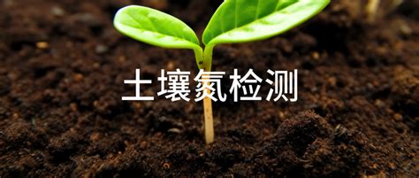 土壤检测之氮组分 知乎