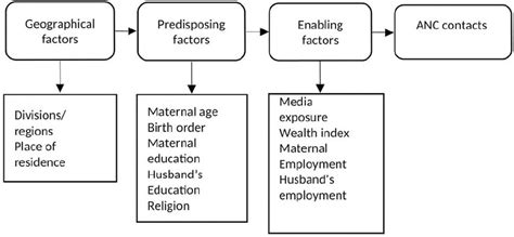 Analytical Framework Of Factors Associated With Anc Contacts In