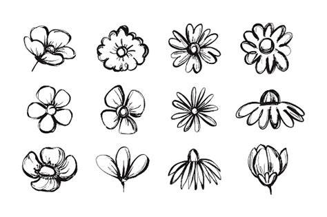 그런 지 꽃 머리 손 그려진 검은 잉크 절연 통하고 있는 백색 배경에 허브 실루엣의 드라이 잉크 스트로크 필드 식물의 브러시