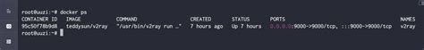 放弃 xui 记录使用 docker 安装 xxx 兔哥博客