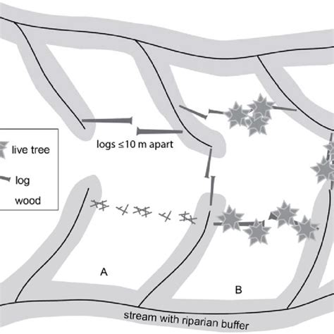 Conceptual Spatial Design Of Forest Structural Elements In Managed