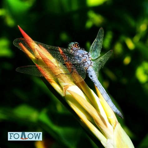 Arunaav Chatterjee On Linkedin Helpinghand Linkedinconnections Linkedinpost Jobseeker