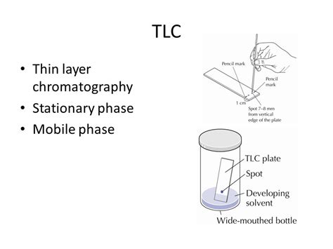 Chromatography Stationary And Mobile Phase
