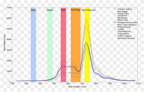Typical Plant Reflectance Characteristics Of Various Micasense Rededge Spectral Sensitivity