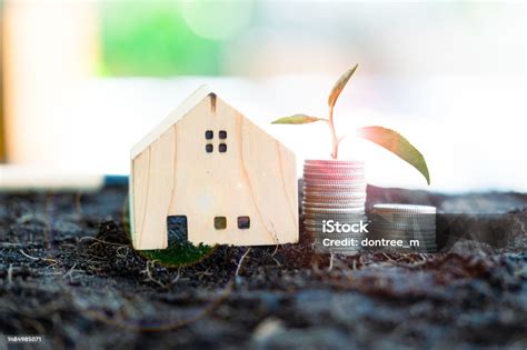 집 나무 모델과 동전으로 자라는 나무는 집을 사기 위해 저축하기 위해 쌓입니다 0명에 대한 스톡 사진 및 기타 이미지 0명 가격 가정 생활 Istock