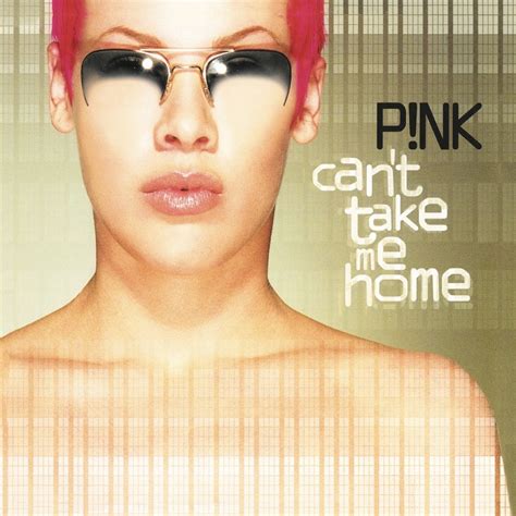 Pink Cant Take Me Home 2 Lp Muziker