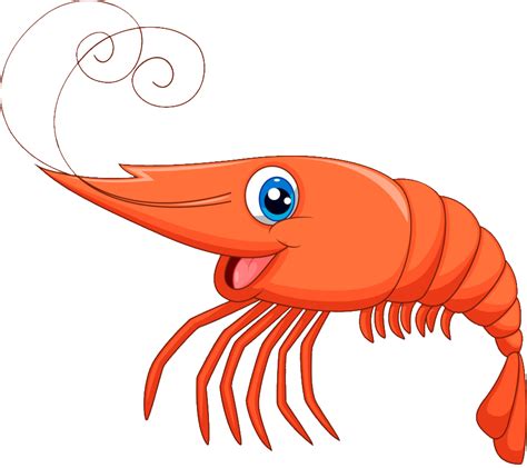 Gambar Udang Vaname Kartun Shrimp Cartoon Png Images