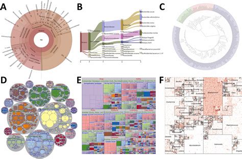 Visualizing metagenomic and metatranscriptomic data: A comprehensive ...