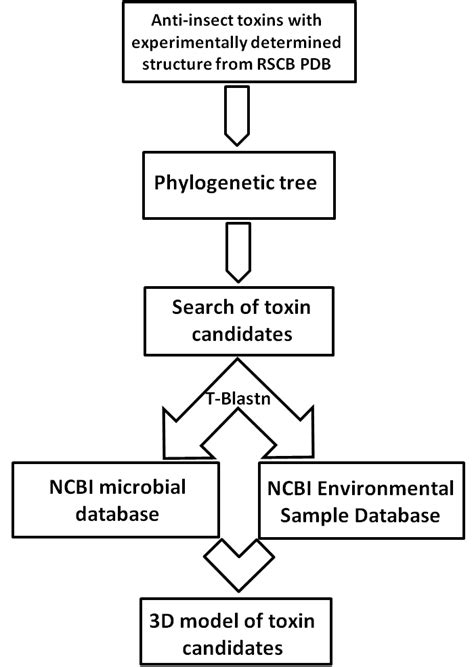 Biological Activity Of Insecticidal Toxins Structural Basis Site
