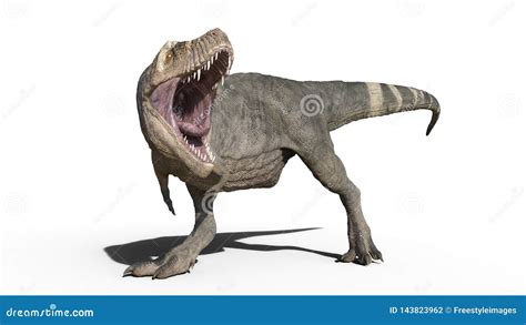 Prehistoric Jurassic Reptile Herbivorous Stegosaurus Dinosaur With A