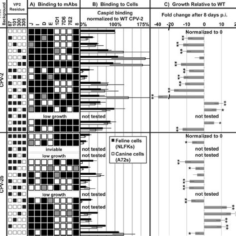 Mutational Differences Between CPV 2 And CPV 2b A Download Table