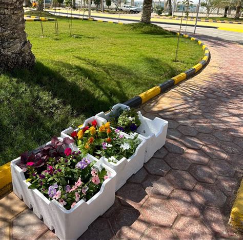 Fatima H Alhabib On Linkedin Saudigreeninitiative Sustainability