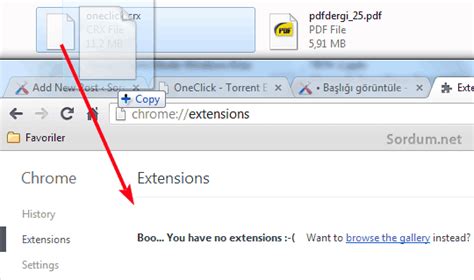Chromeye istediğim eklentiyi kuramıyorum sorunu ve çözümü