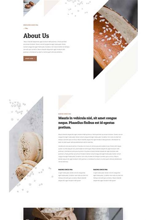 Divi — The Ultimate Wordpress Theme And Visual Page Builder