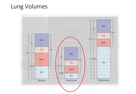 Obstructive And Restrictive Lung Disease Flashcards Quizlet