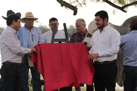 Nuestra Riqueza El Ganado Cebú Secretaría De Agricultura Y