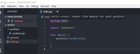 User Written Packages Fail To Import With Gomod Go111modon · Issue
