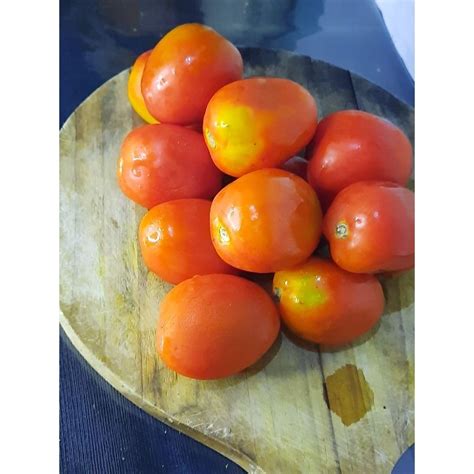 Jual Tomat 500g Shopee Indonesia