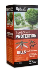 Protect Your Trees From Insects Trees Today Nursery