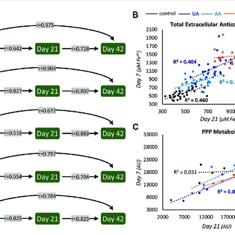 Intra Parameter Correlations During Storage A Correlations Between