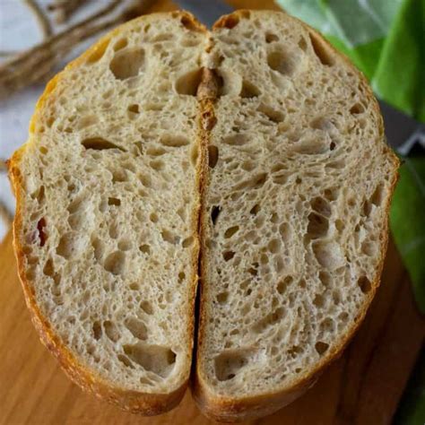 Why Are The Bubbles So Small In My Sourdough Starter Somebody Feed Seb