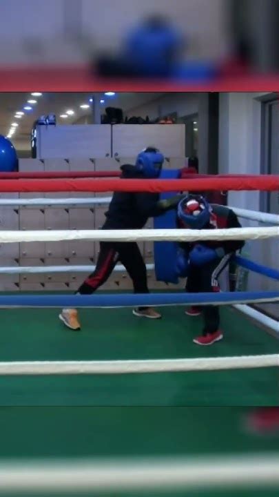 정확한 펀치 한 대만 때렷 Youtube